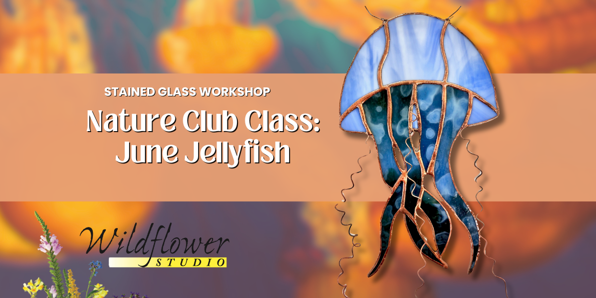 06/14/25 Nature Club Class: June Jellyfish – Wildflower Studio